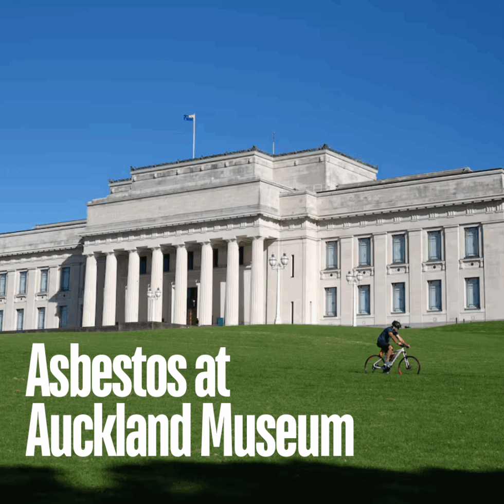 Asbestos in Auckland Museum: Insight for Commercial Property